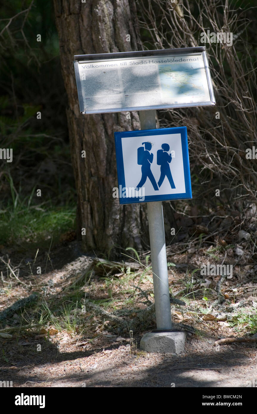 hike hiking hiker hikers walk walker walkers path paths root roots ...