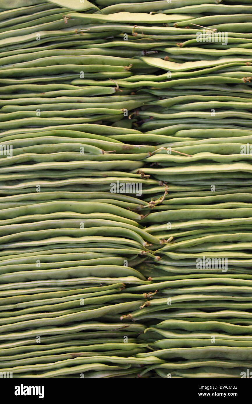Green bean common hi-res stock photography and images - Alamy