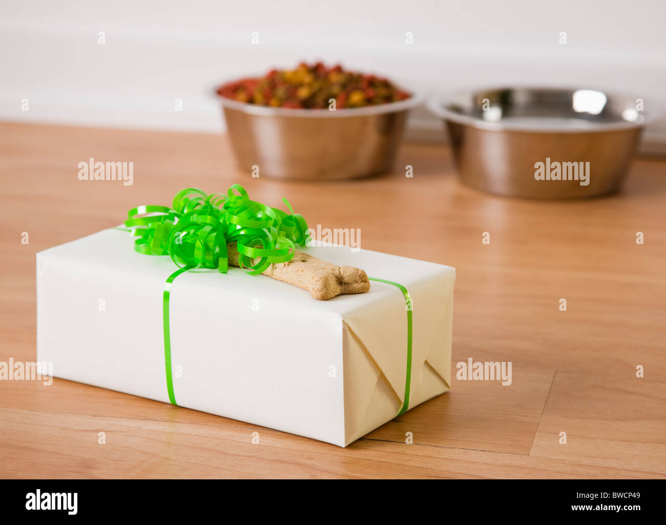 Illinois pets hi-res stock photography and images - Alamy