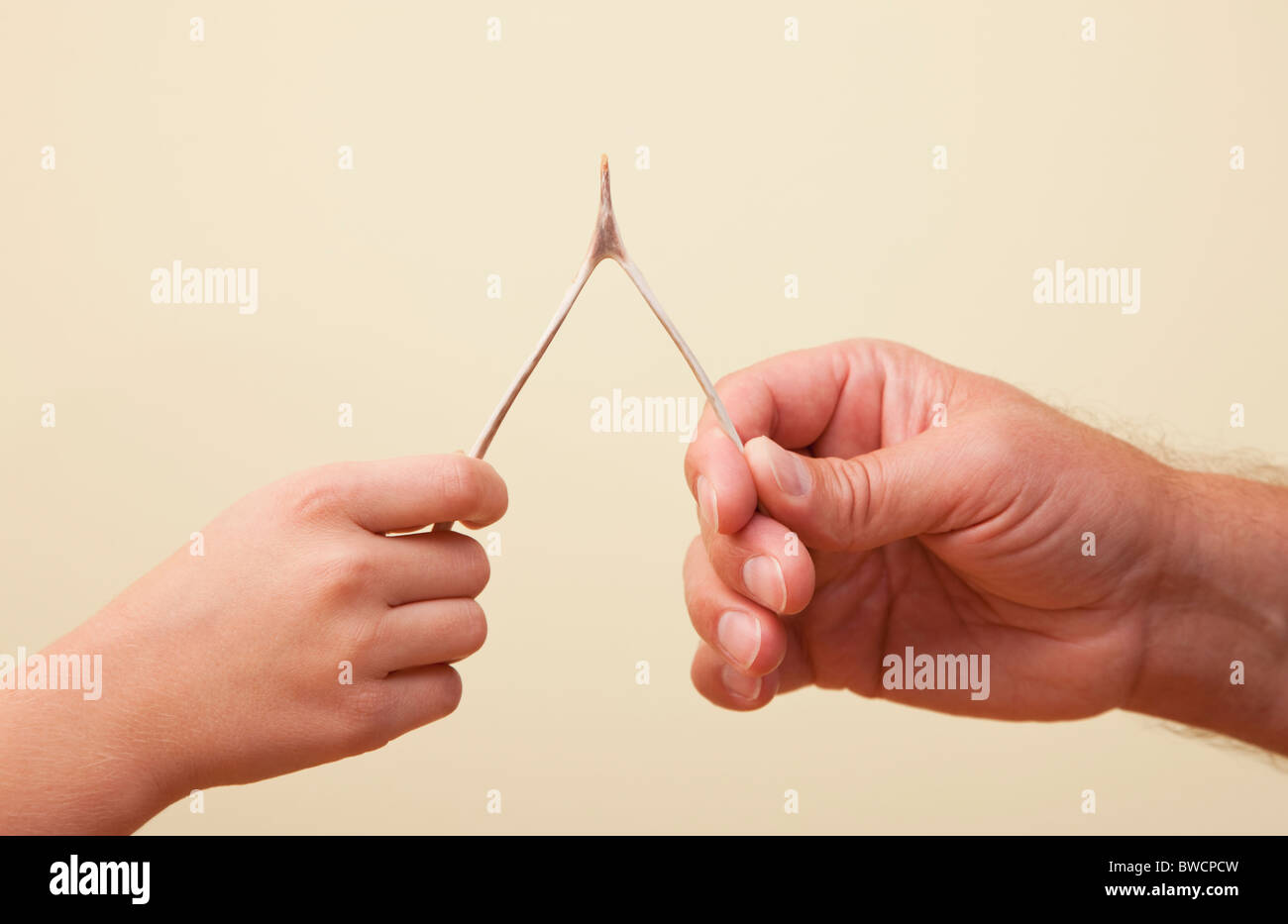 Wishbone Turkey Call