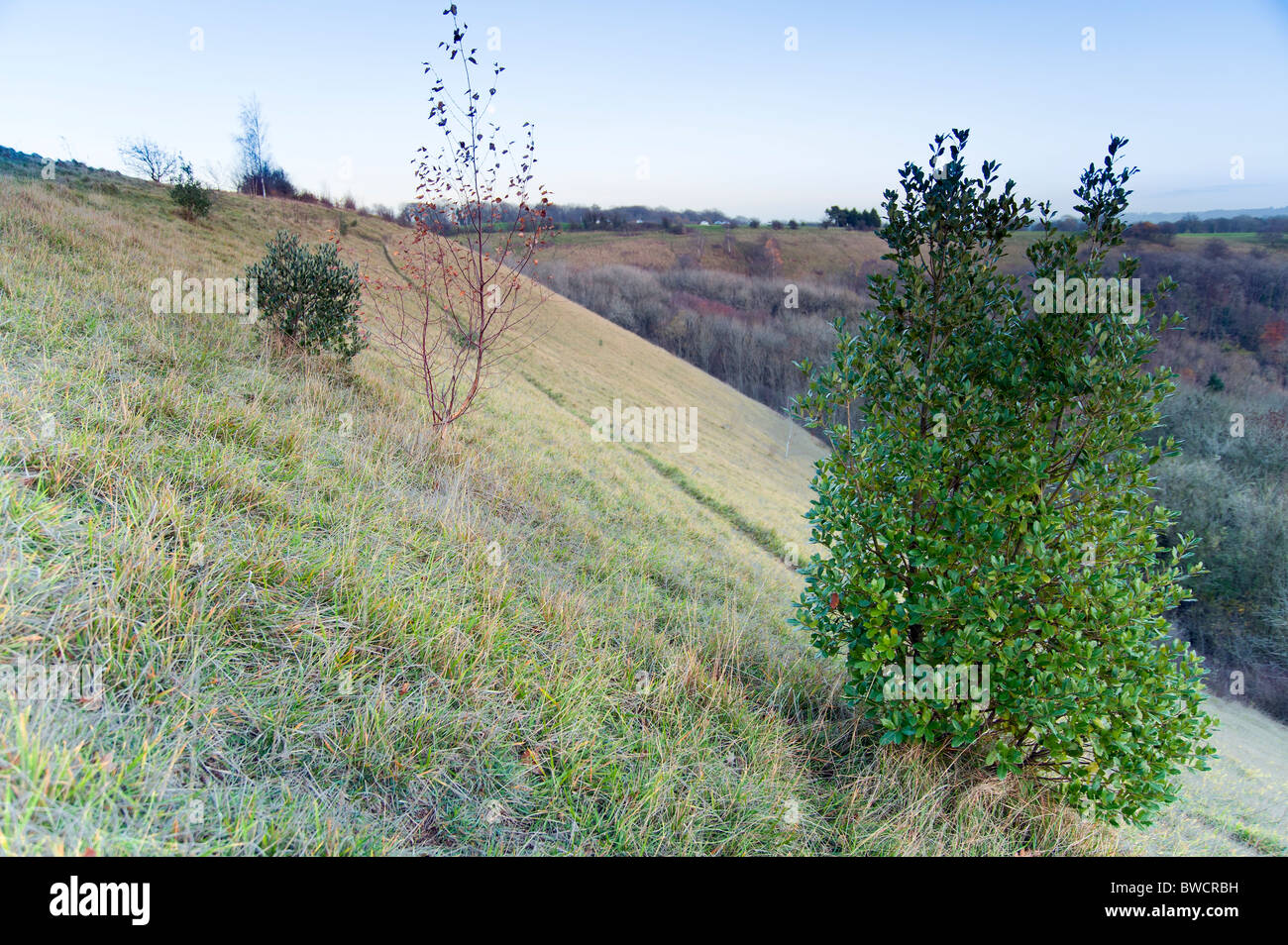 Native Limestone High Resolution Stock Photography and Images - Alamy