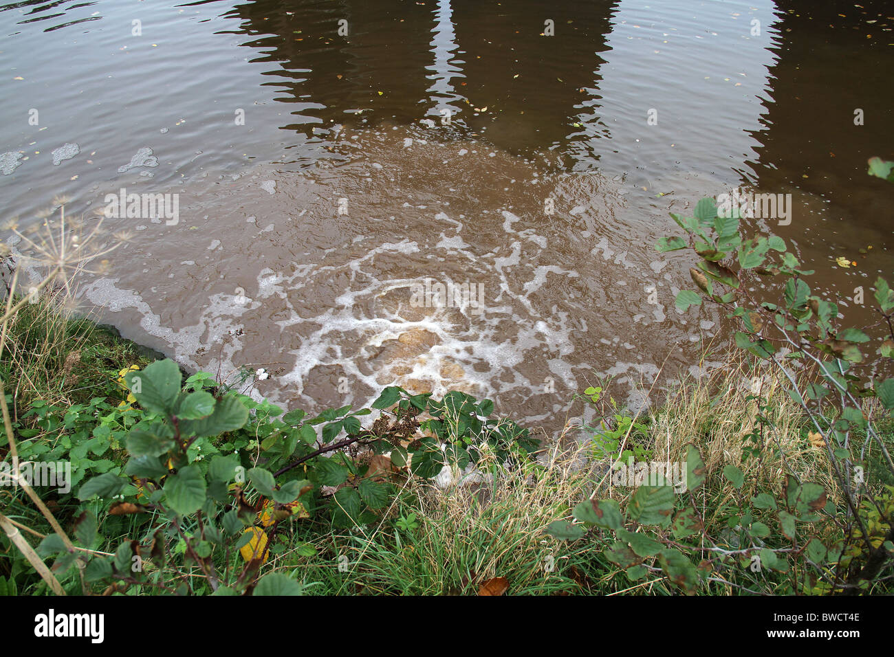 Effluent pollution river hi-res stock photography and images - Alamy