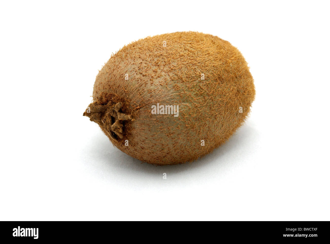Undamaged brown kiwi isolated on white background Stock Photo - Alamy