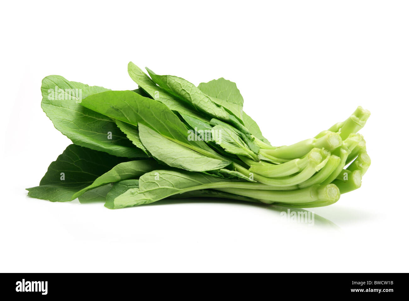 Chinese vegetable choy sum hi-res stock photography and images - Alamy