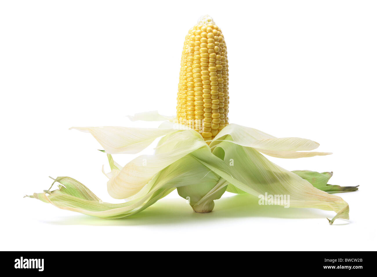 Corn cob Cut Out Stock Images & Pictures - Alamy