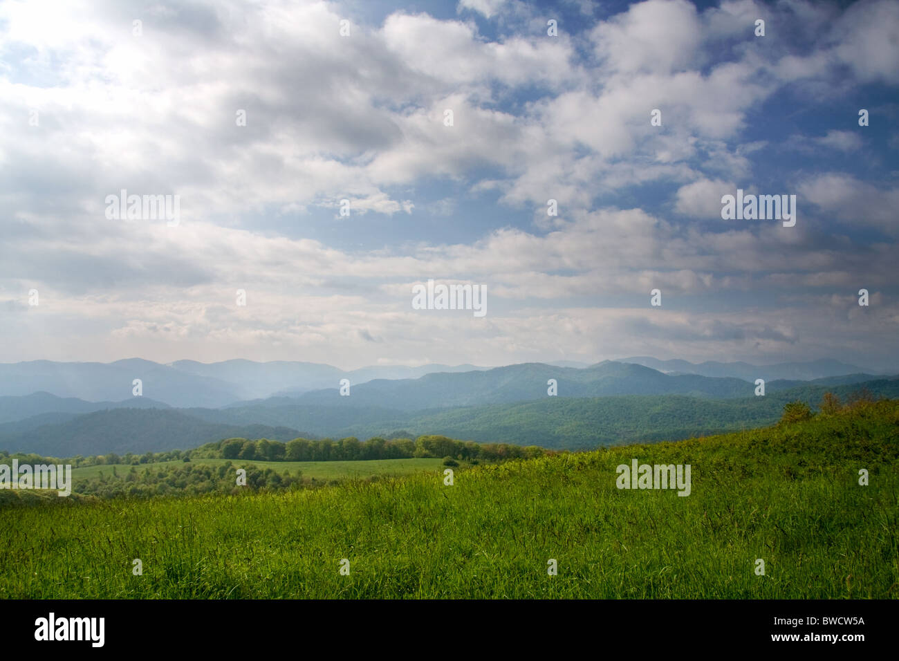Max patch bald hi-res stock photography and images - Alamy