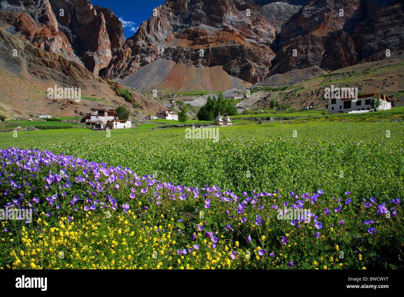 The beautiful Zanskar Village of Lingshed Stock Photo - Alamy