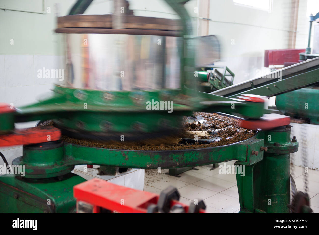 Tea rolling hi-res stock photography and images - Alamy