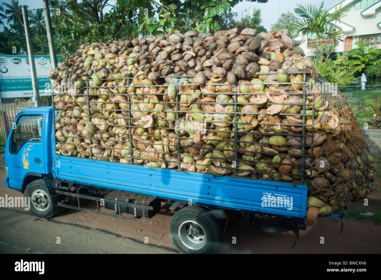 Transporting coconut husks for recycling, Sri lanka Stock Photo - Alamy