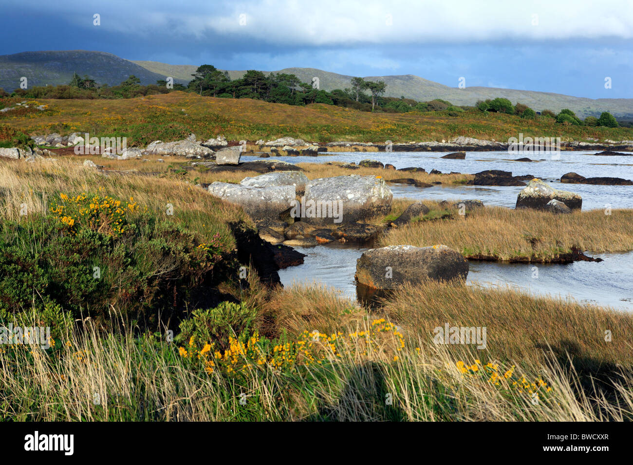 Camus hi-res stock photography and images - Alamy