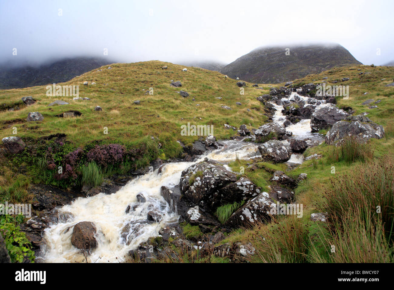 Lough inagh ireland hi-res stock photography and images - Alamy
