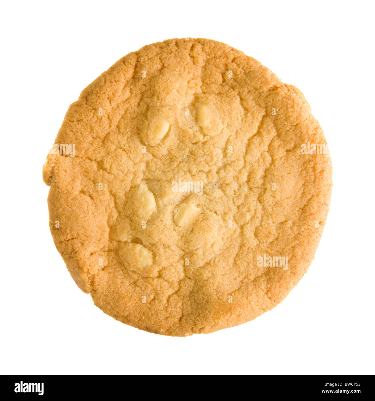 white chocolate chip; cookie isolated on white background Stock Photo ...