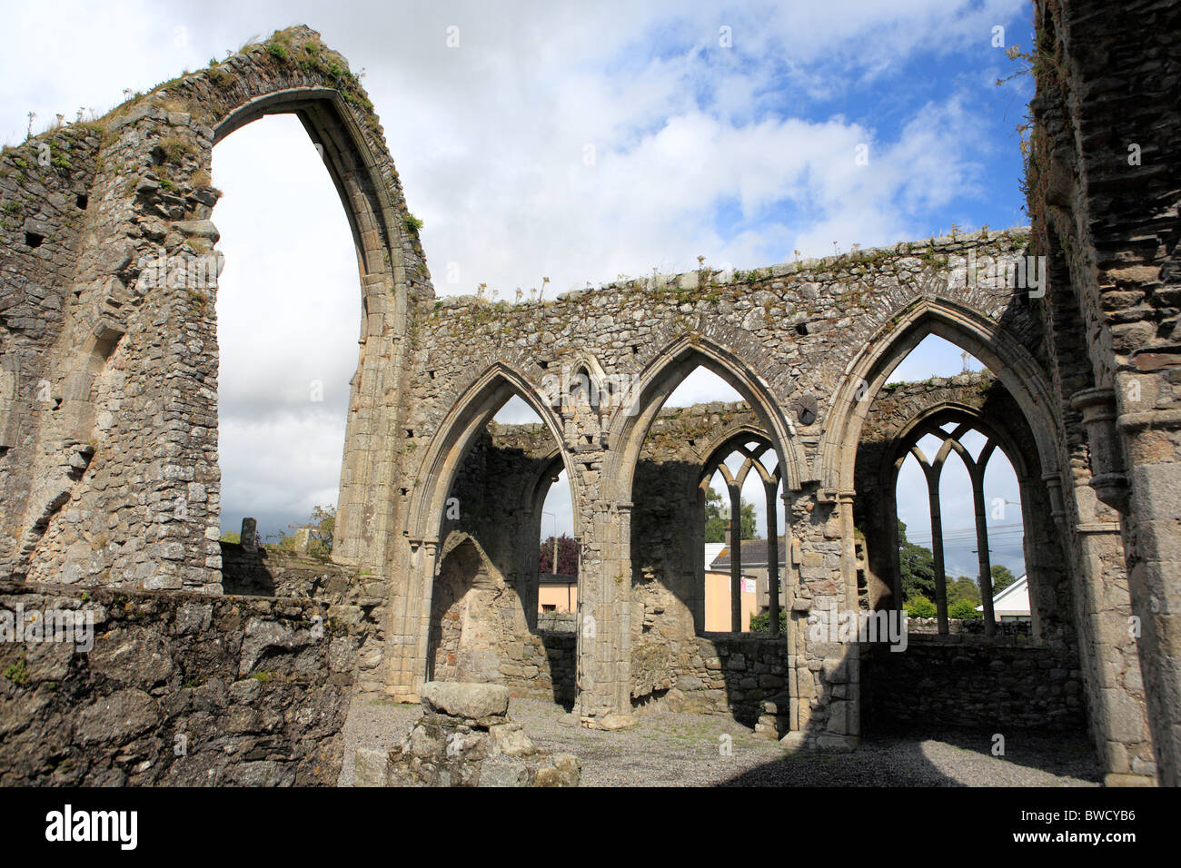 Franciscan abbey (14 century), Castledermot, Kildare county, Ireland ...