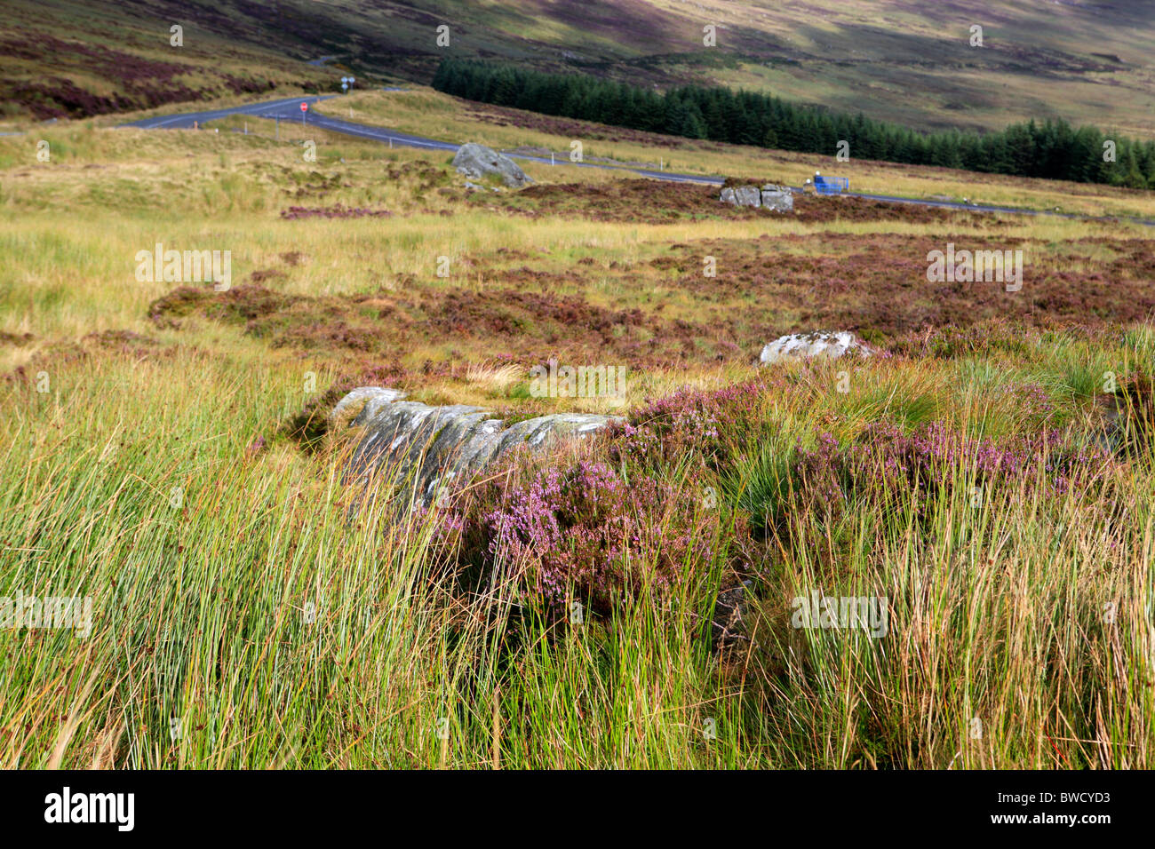 Dublin mountains ireland hi-res stock photography and images - Alamy