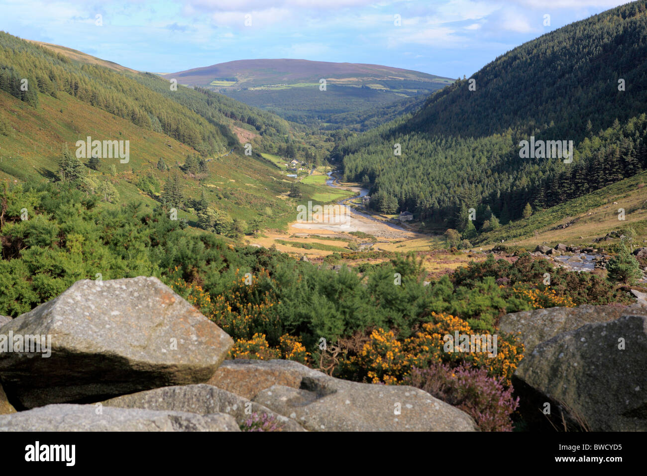 Wicklow mountains near Dublin, Ireland Stock Photo - Alamy