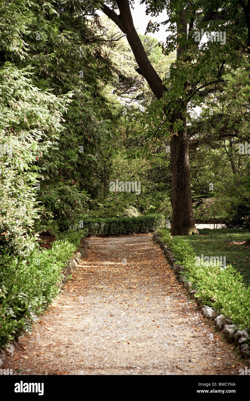 Pathway in a green garden Stock Photo - Alamy
