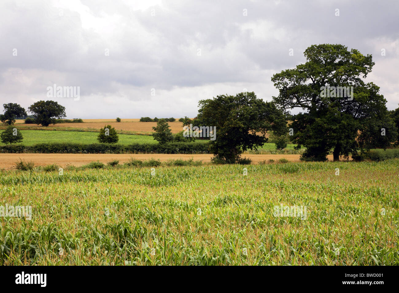 View of the countryside in Norfolk, England, UK Stock Photo - Alamy