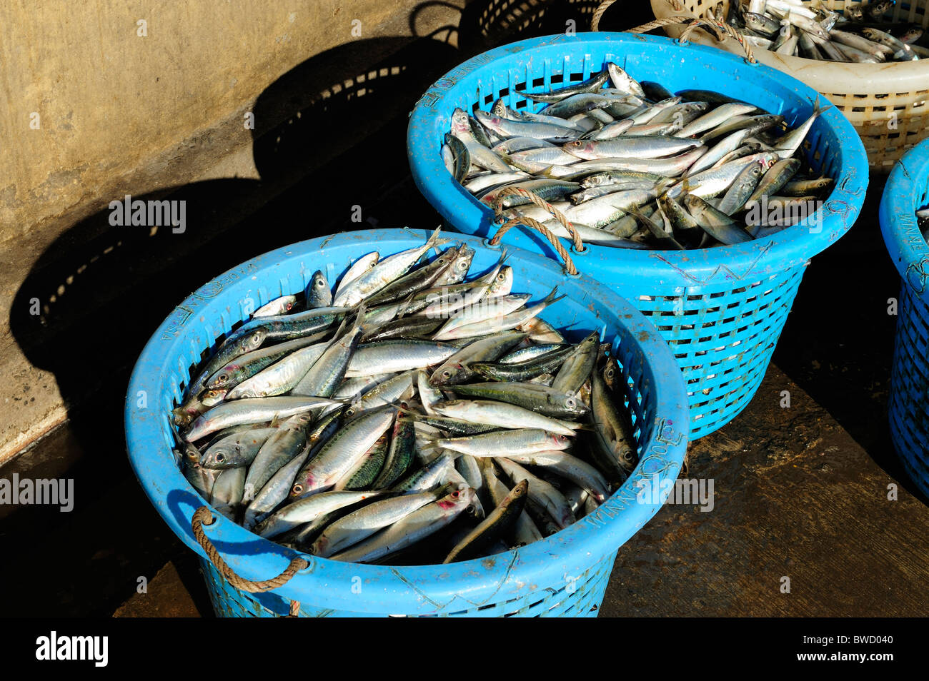 Waterfront fish market sandakan sabah hi-res stock photography and ...