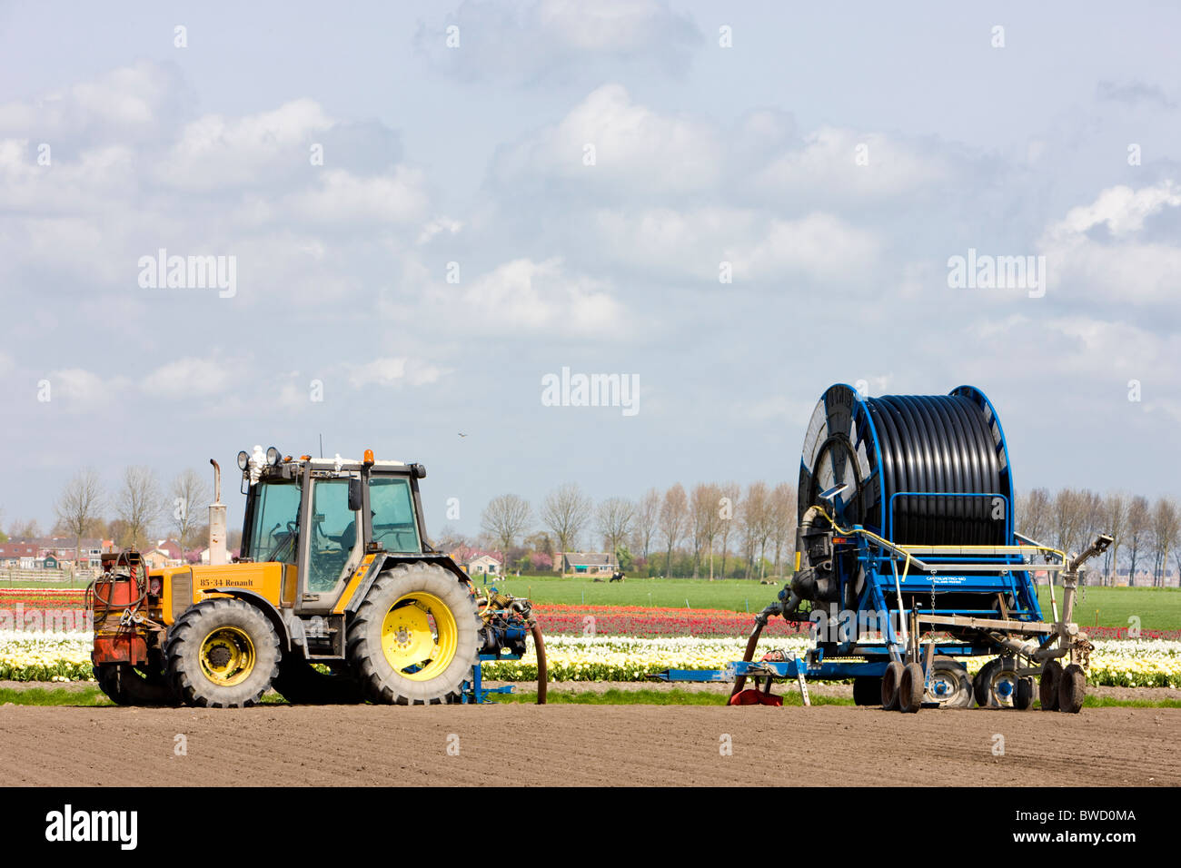 tractor on field, Netherlands Stock Photo - Alamy