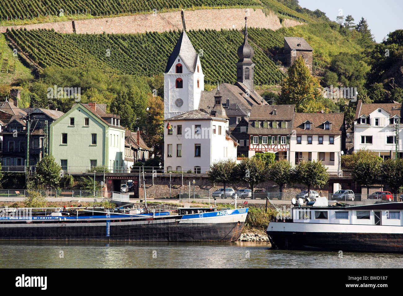 The town of Kaub, on the Rhine River, Germany Stock Photo - Alamy