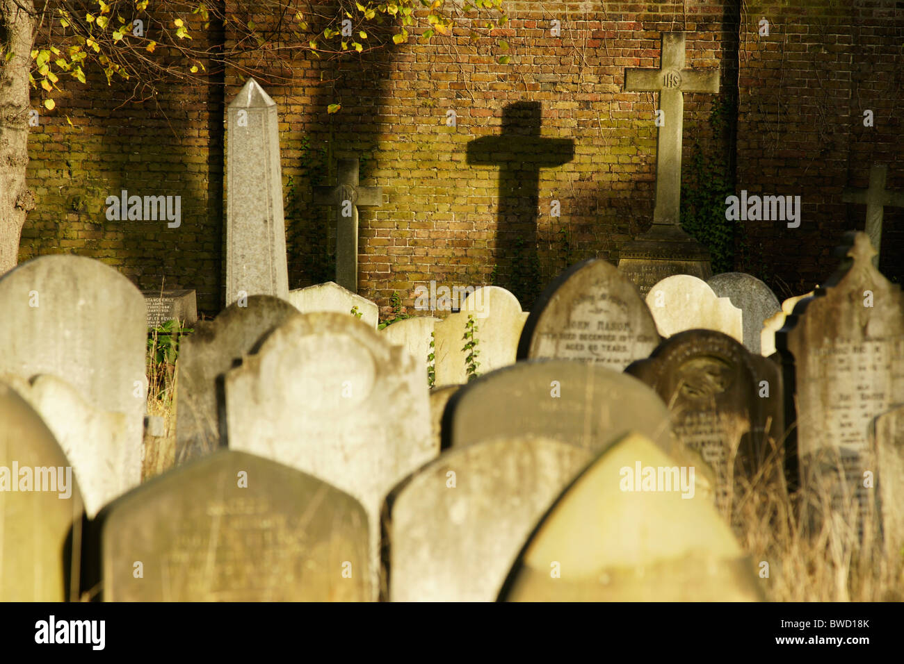 Brompton Cemetery, Chelsea, London Stock Photo - Alamy Brompton Cemetery, Chelsea, London Stock Photo - Alamy