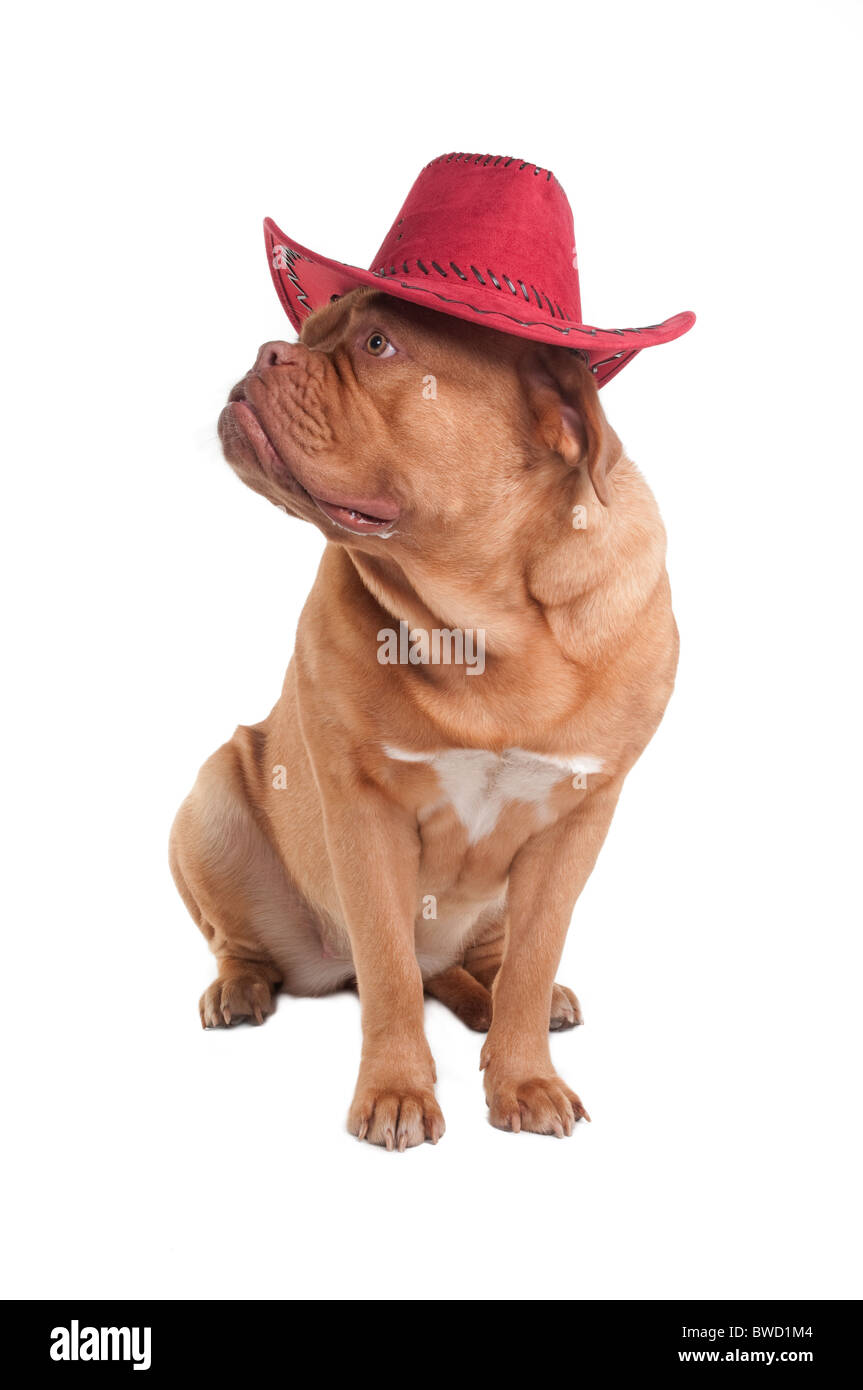 Close up cowboy hat Cut Out Stock Images & Pictures - Alamy