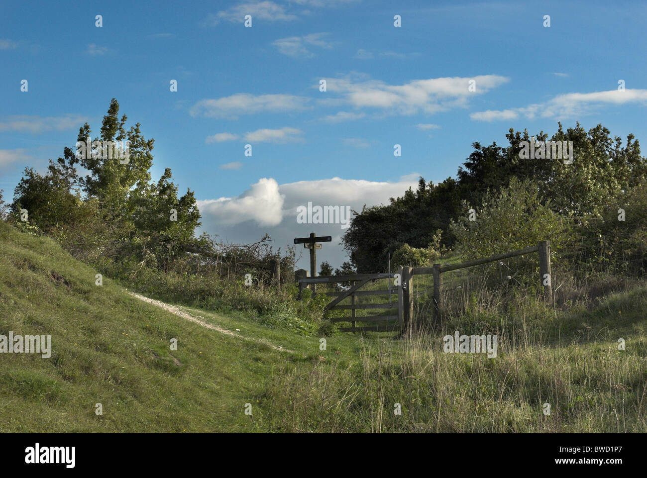 The South Downs Way passing over Rackham Hill in the South Downs ...