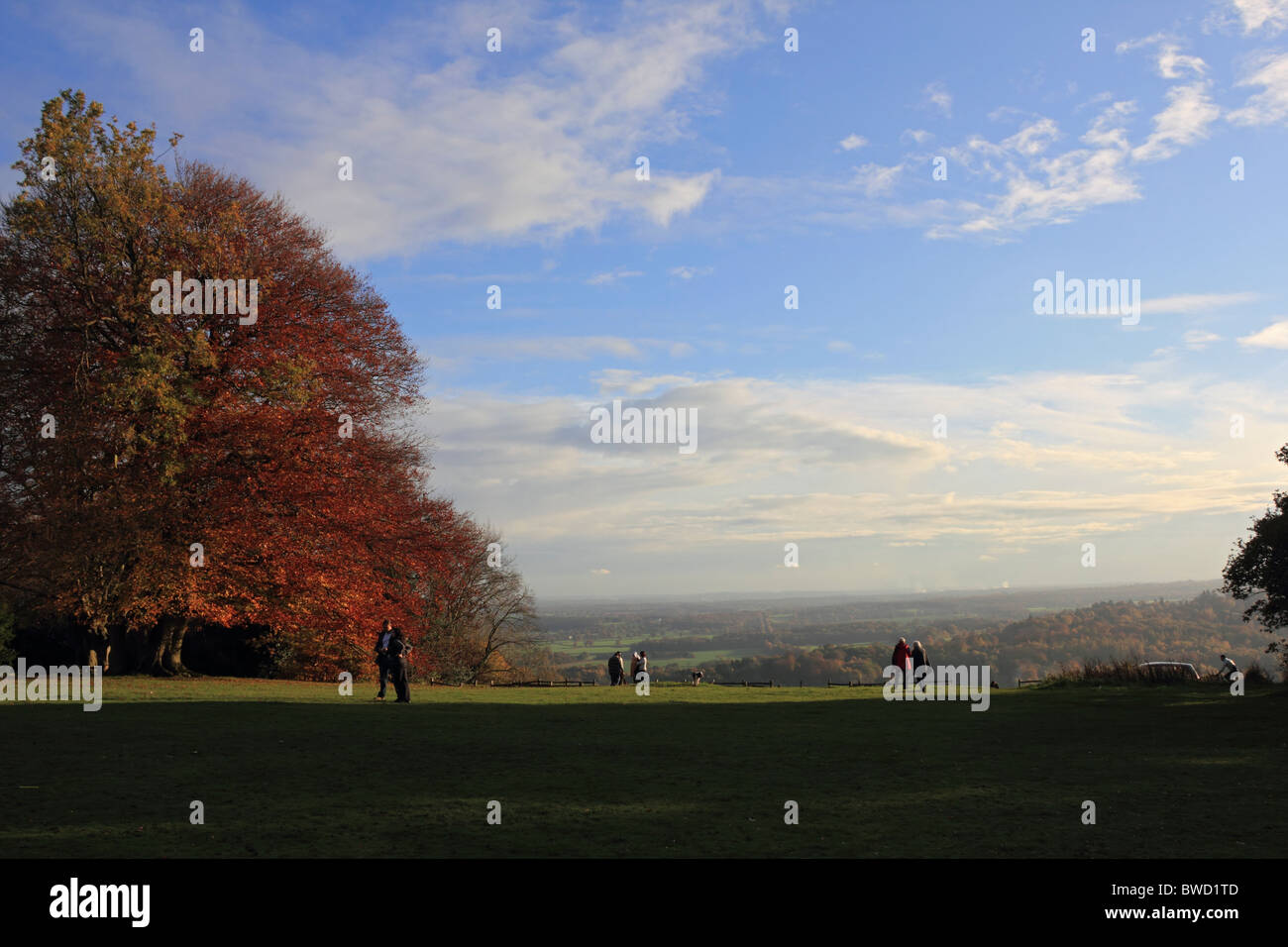 Box hill viewpoint hi-res stock photography and images - Alamy