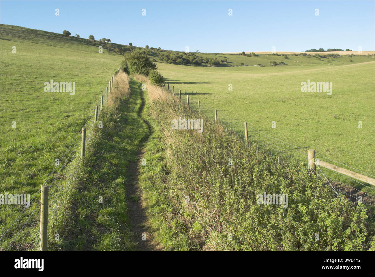 Looking from Cow Bottom towards Lancing Hill - South Downs National ...