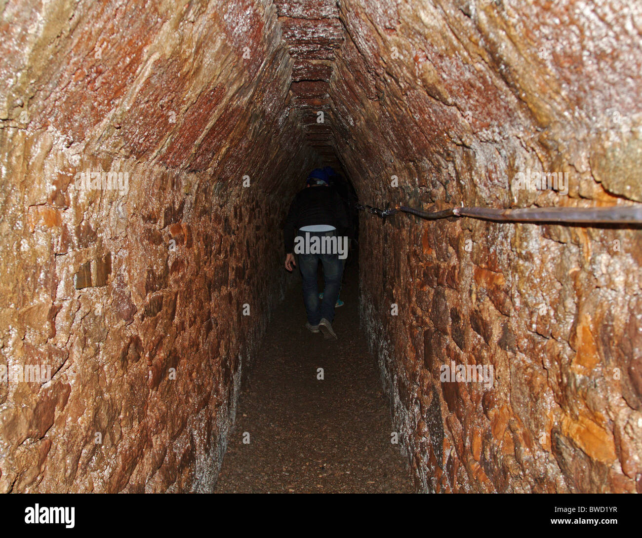 Underground passages, Exeter, Devon, England Stock Photo - Alamy