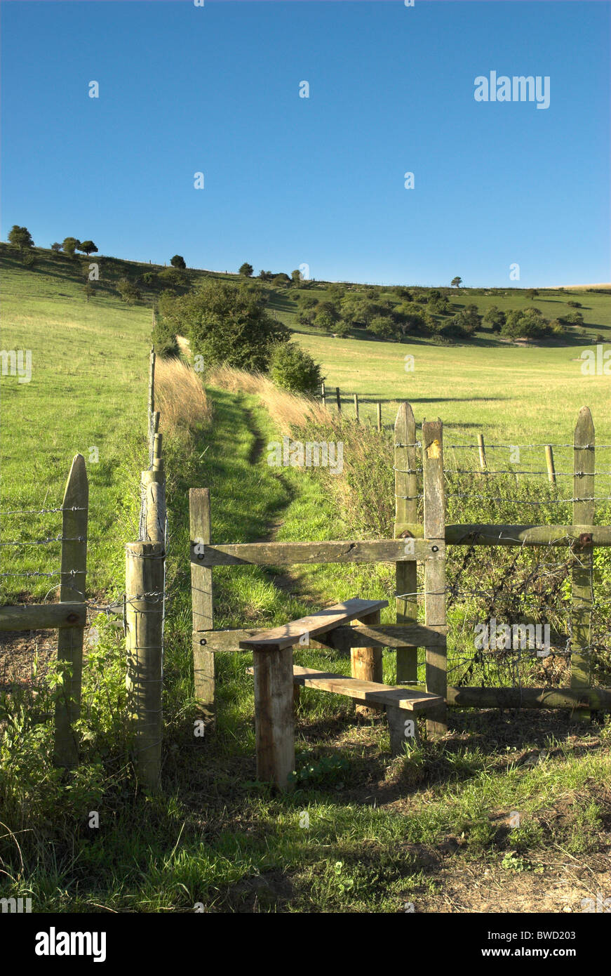 Looking from Cow Bottom towards Lancing Hill - South Downs National ...