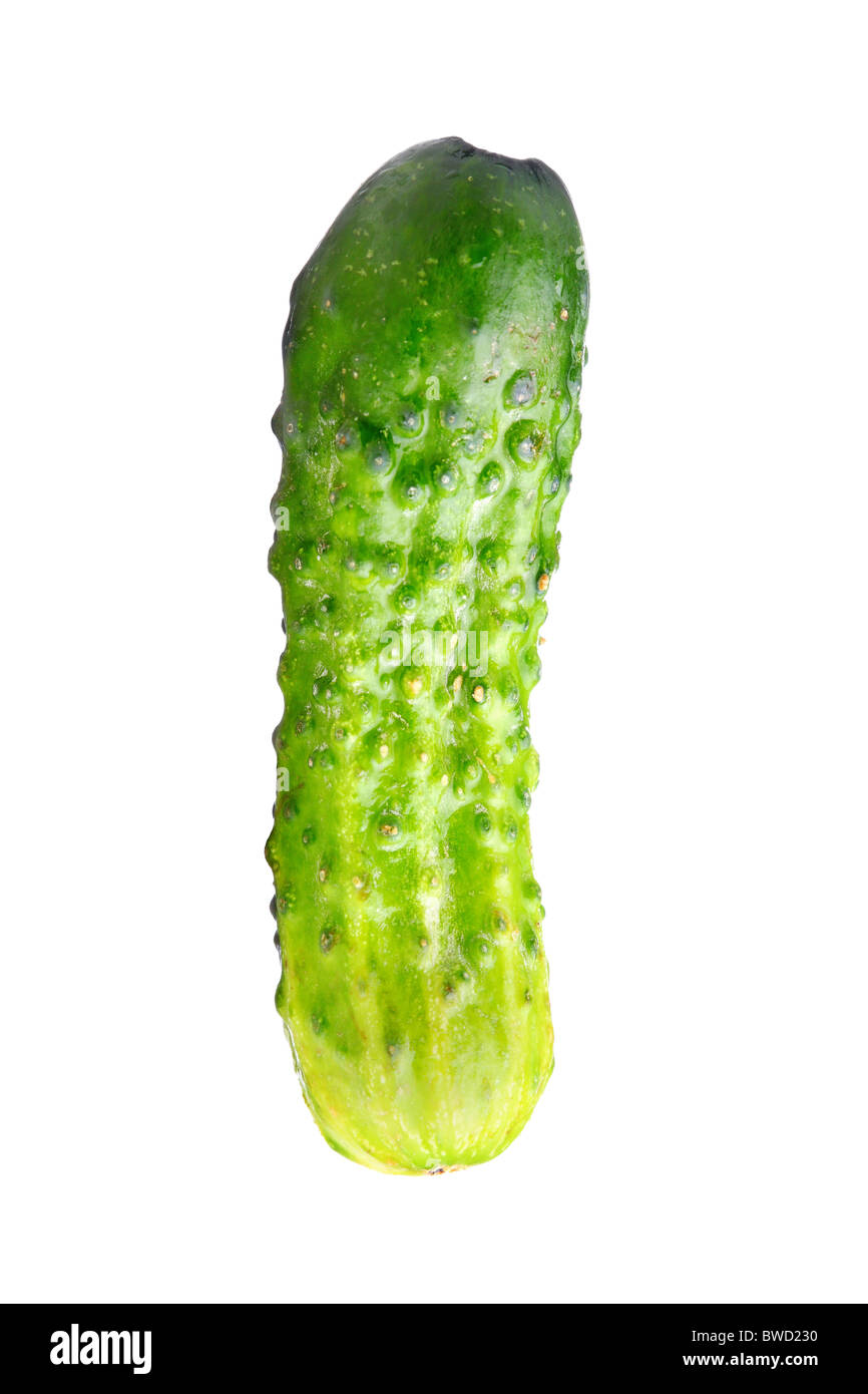 small green cucumber isolated on white background Stock Photo - Alamy