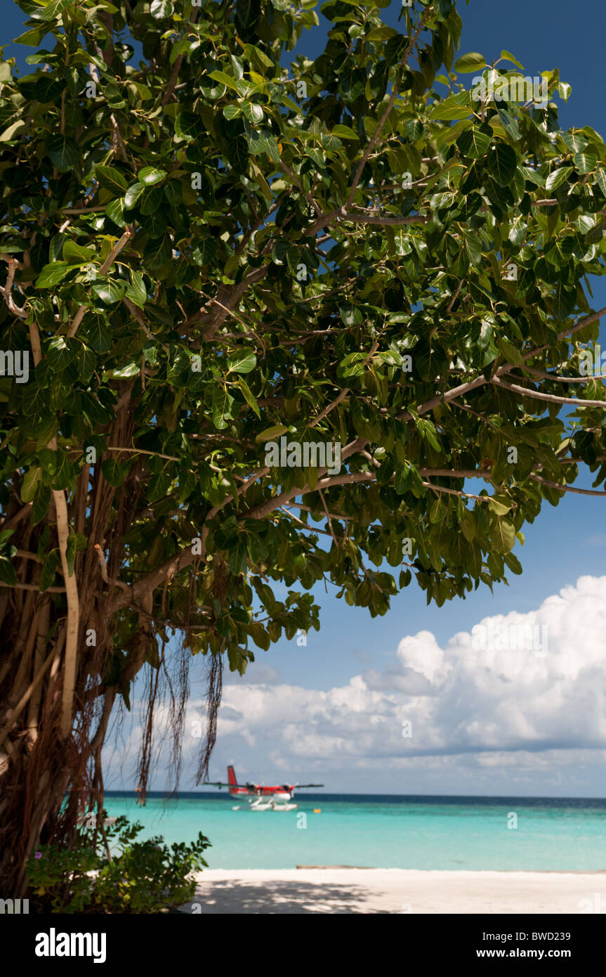 Red seaplane at the beach Stock Photo - Alamy