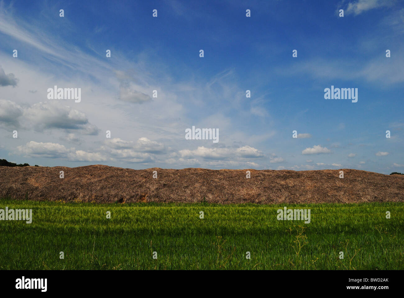 Huge mound of hay in field, Ukraine, Eastern Europe Stock Photo - Alamy