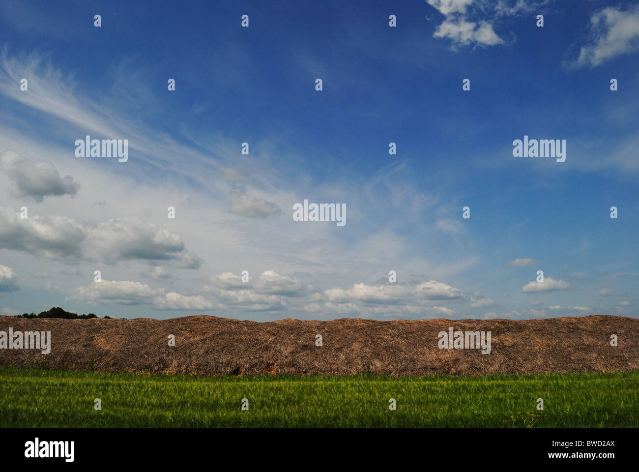 Huge mound of hay in field, Ukraine, Eastern Europe Stock Photo - Alamy