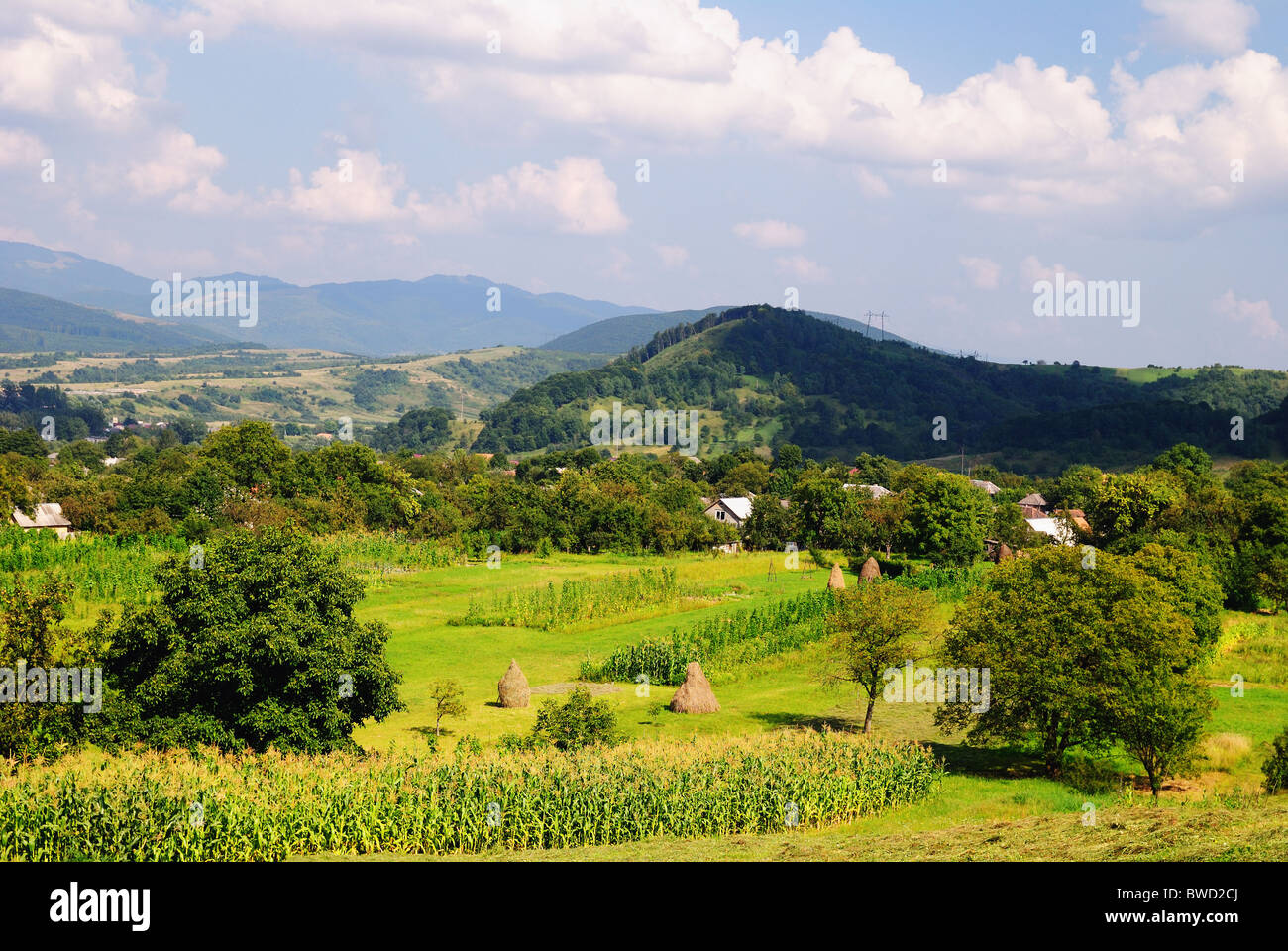 Rural landscape, Carpathian Mountains, western Ukraine Stock Photo - Alamy