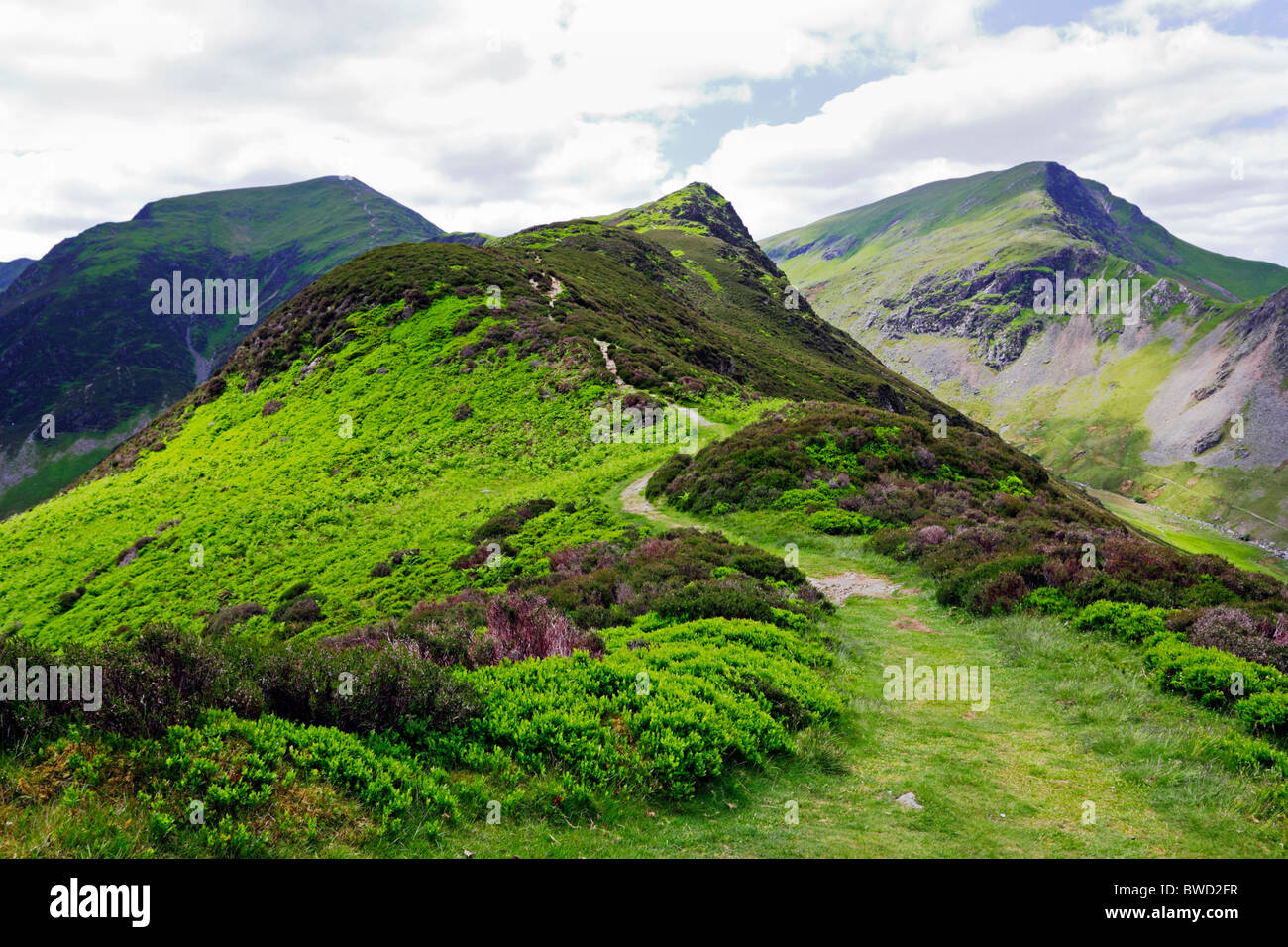 Scope High Resolution Stock Photography and Images - Alamy