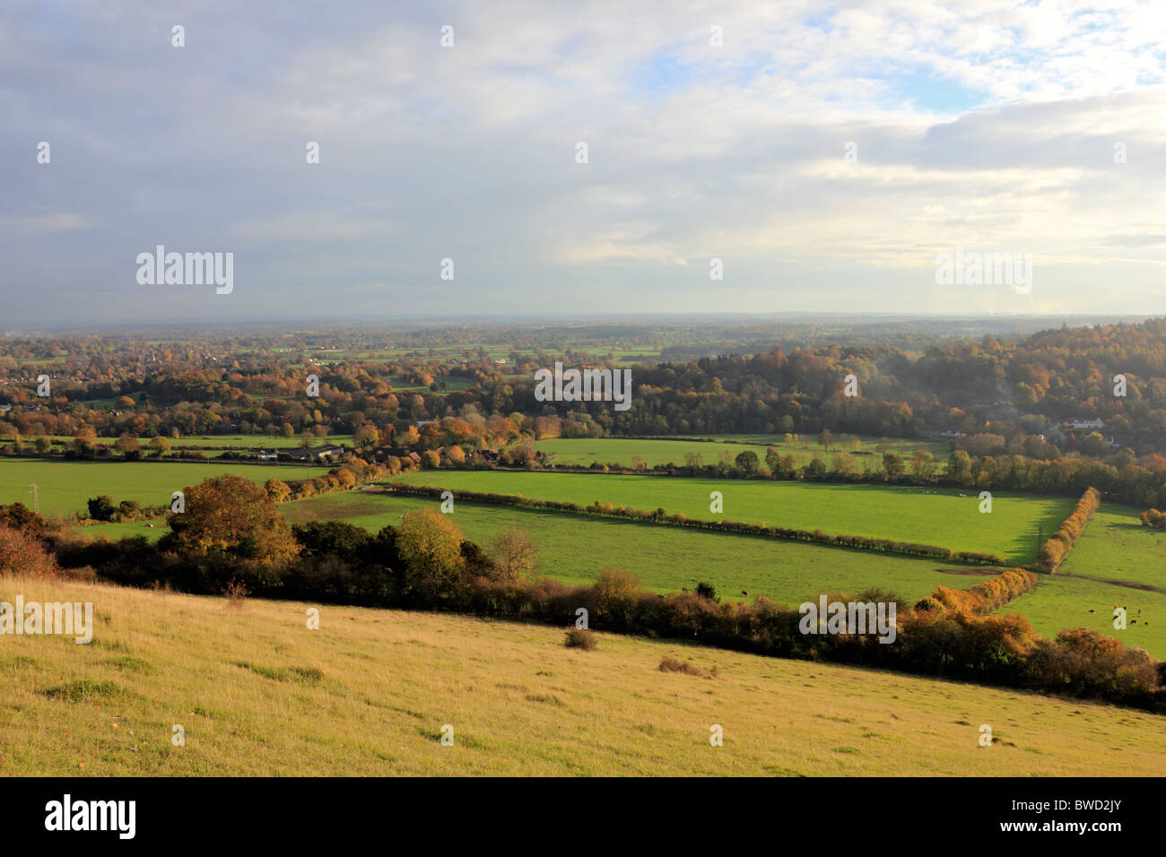 Box hill surrey autumn hi-res stock photography and images - Alamy