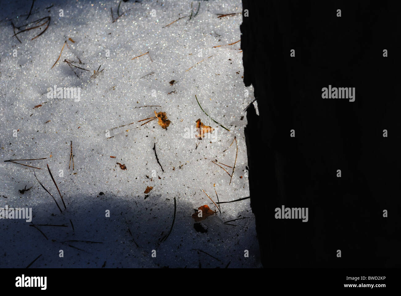 Winter still life Stock Photo - Alamy