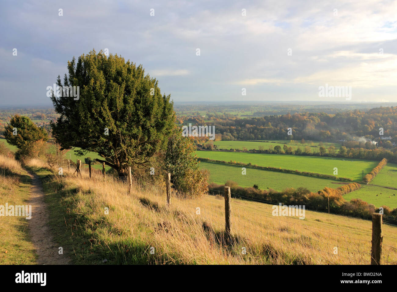 Box hill, surrey hi-res stock photography and images - Alamy