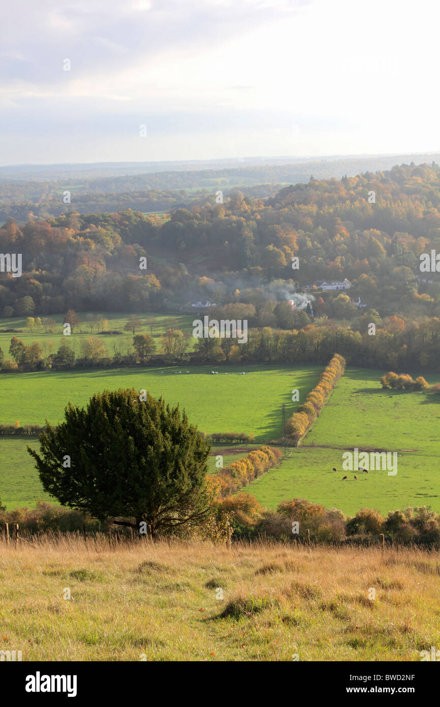 Box hill surrey hi-res stock photography and images - Alamy