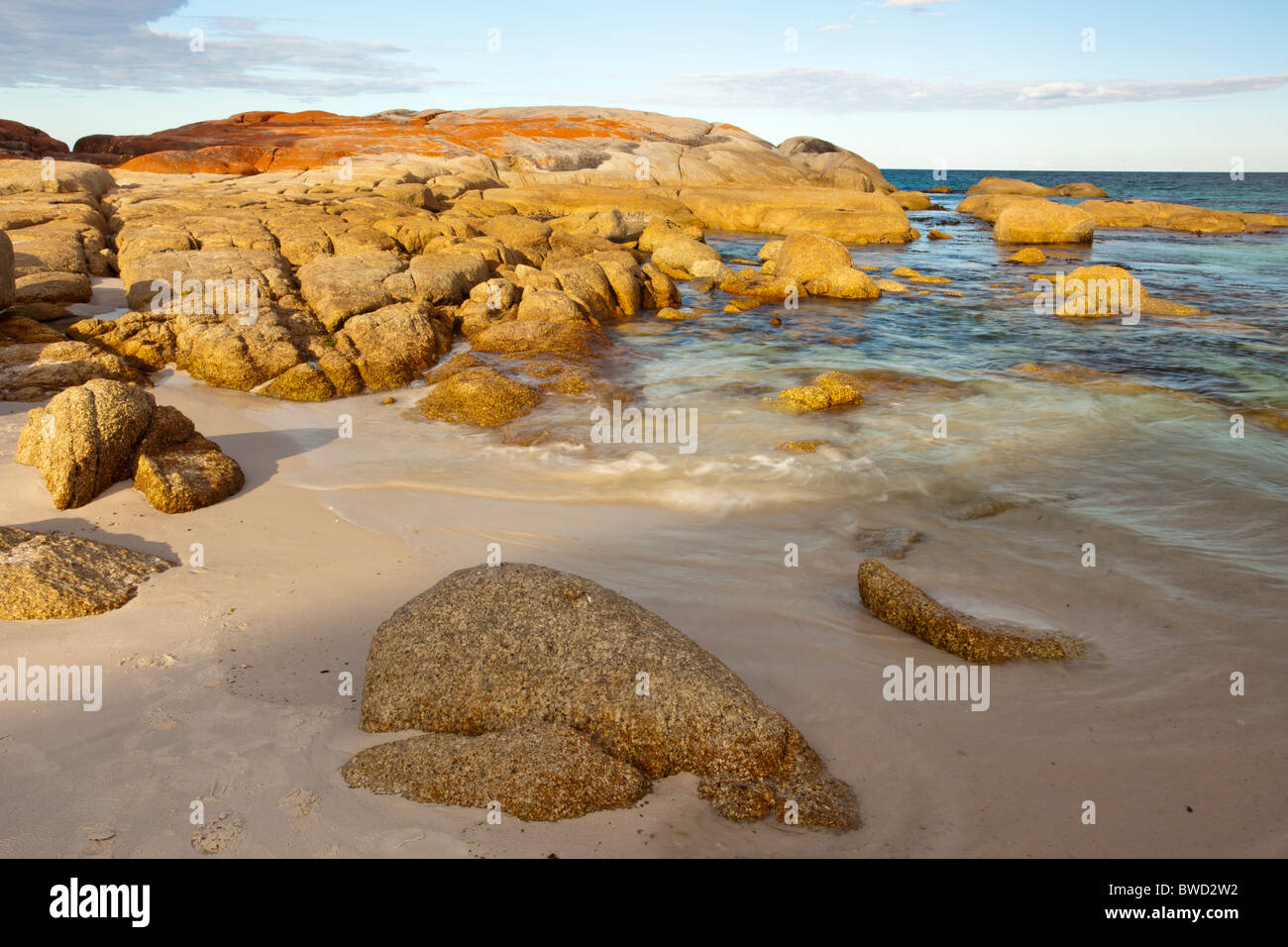 Red lichen covered rocks at Cosy Corner in the Bay of Fires on Tasmania ...