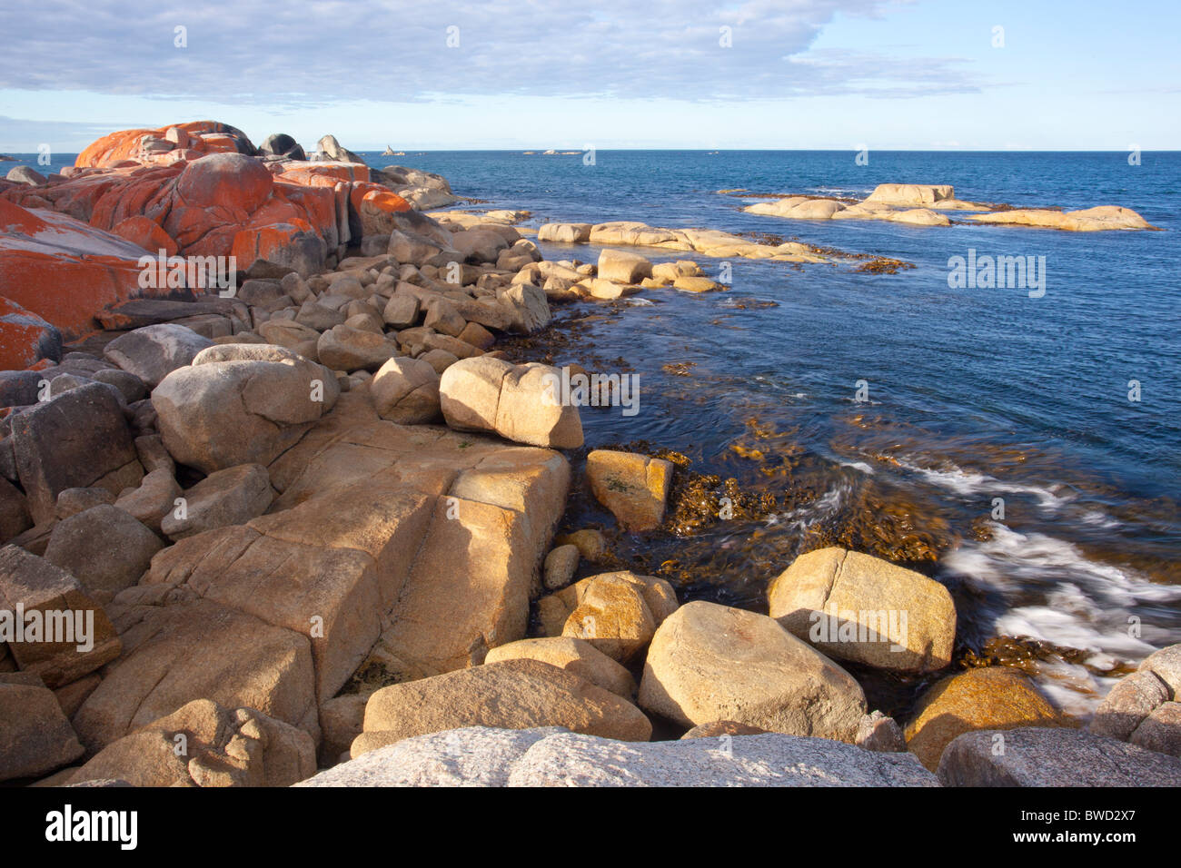 Red lichen covered rocks at Cosy Corner in the Bay of Fires, Tasmania ...