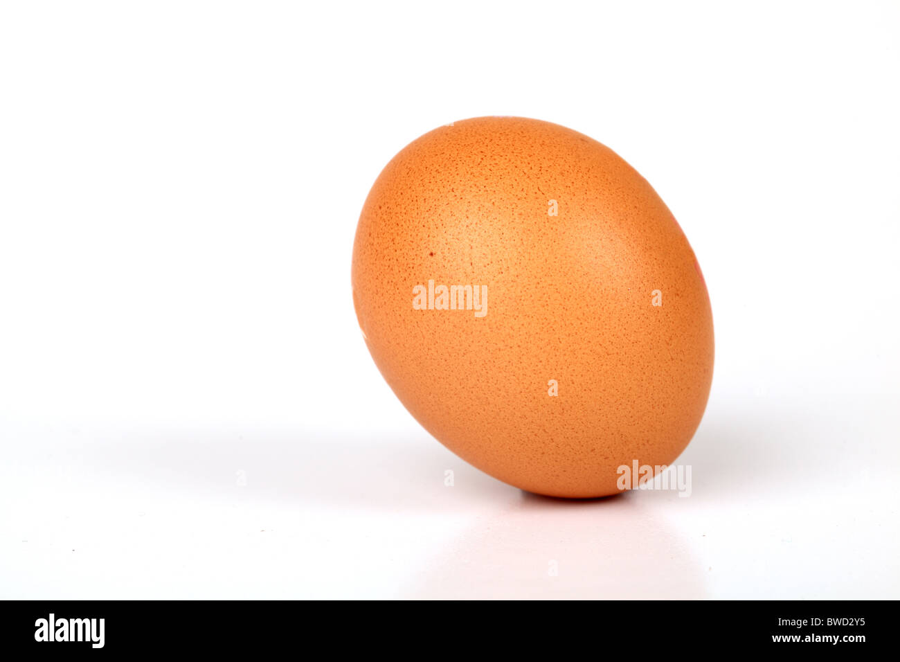 Close up whole brown egg hi-res stock photography and images - Alamy