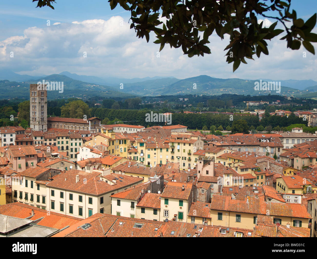 View over Lucca from the top of the Torre Guinigi tower, with the ...