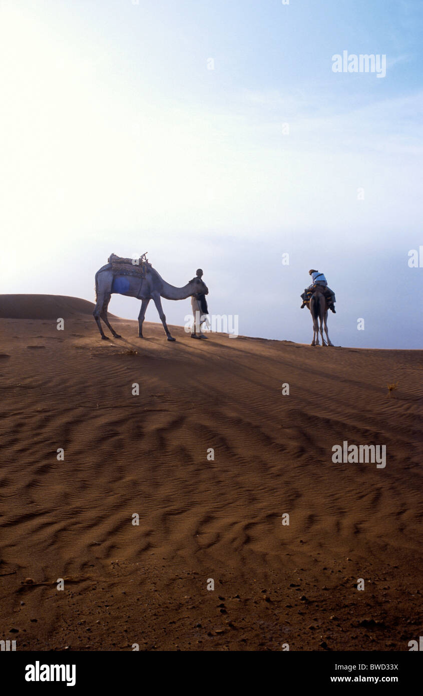 Camel ride in the Sahara Desert, Merzouga, Morocco Stock Photo - Alamy