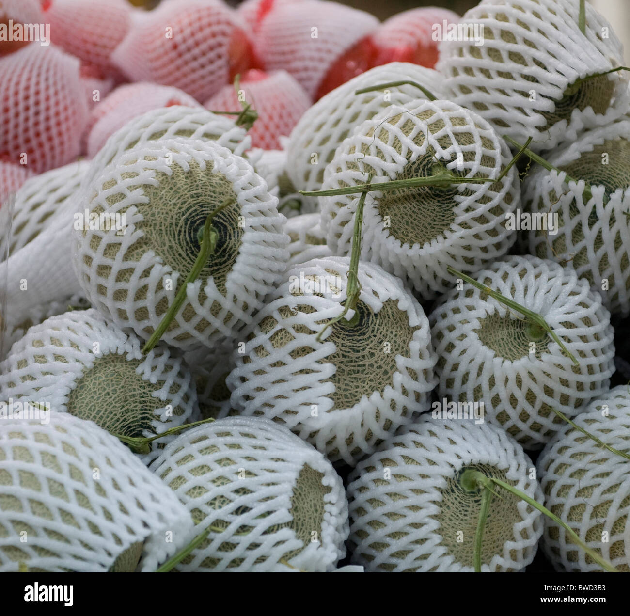 Lapanese melons in packaging of lattice styrofoam Stock Photo - Alamy
