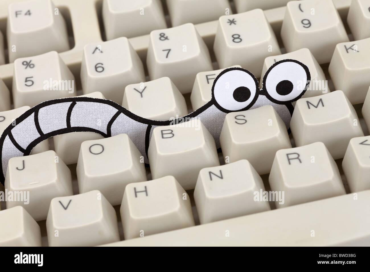 Worm and computer keyboard, concept of Security, Virus Stock Photo - Alamy