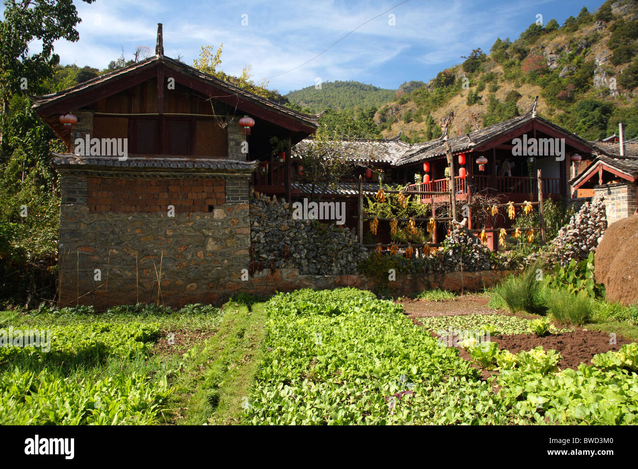Chinese Village Life High Resolution Stock Photography and Images - Alamy