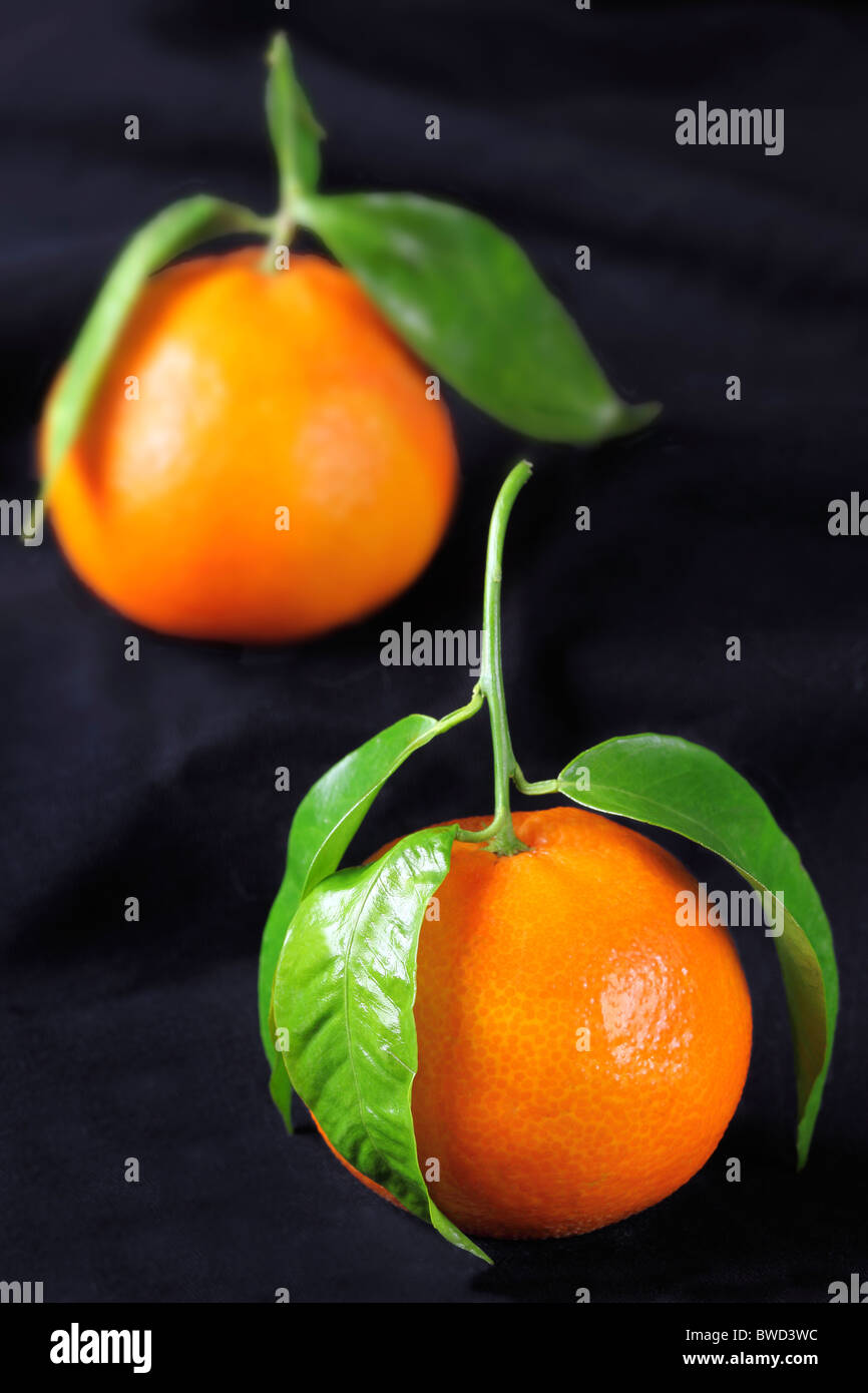 Clementines fruits hi-res stock photography and images - Alamy